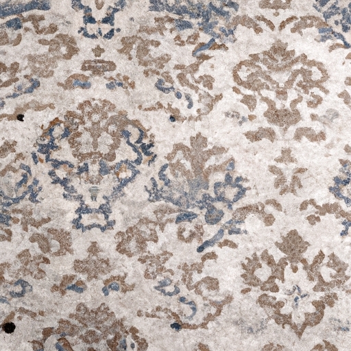 Vintage Southwestern Floor Rug